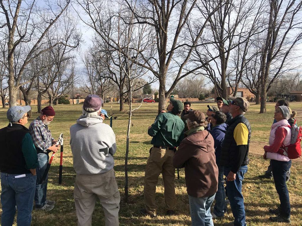 Tree Stewards | Tree New Mexico