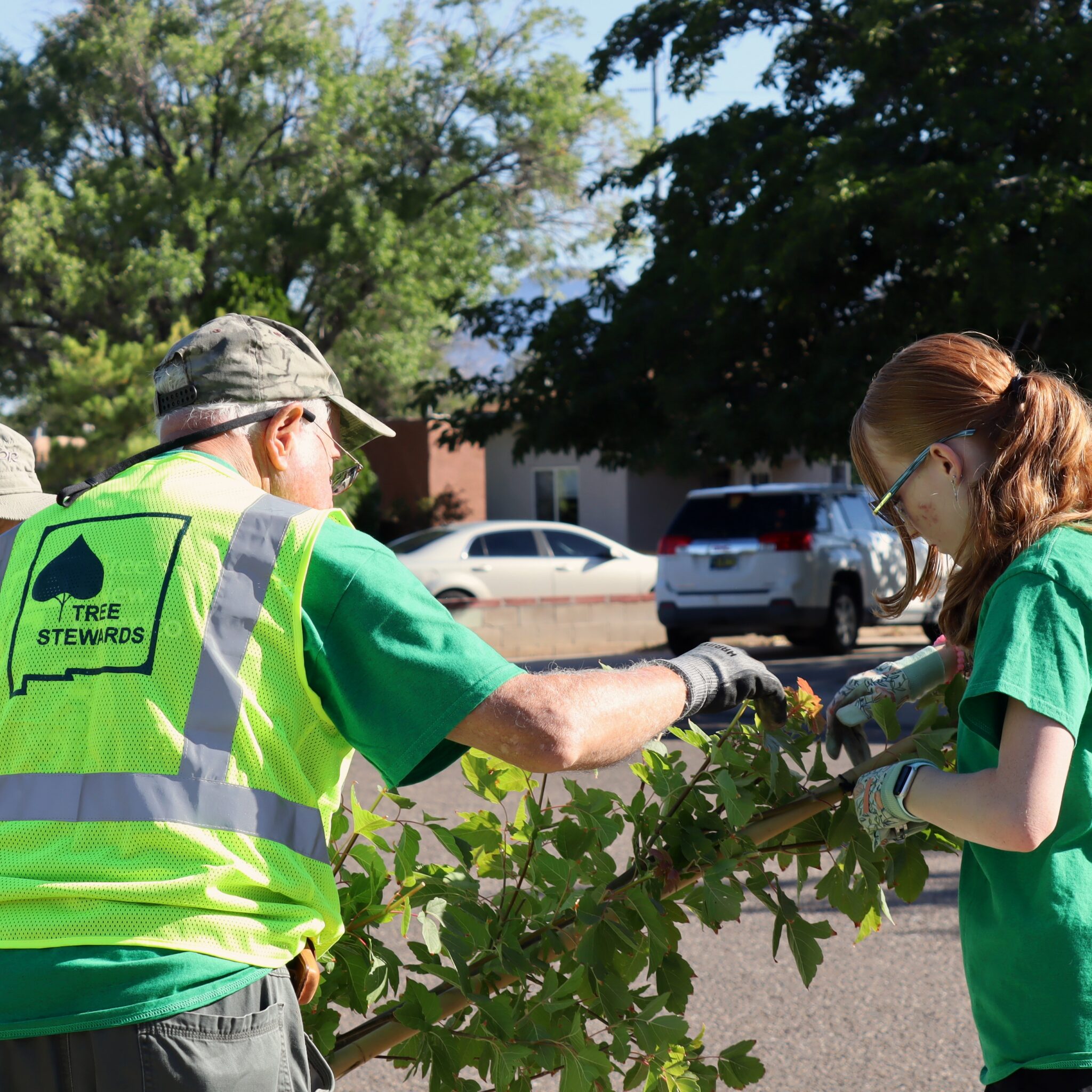 Tree Stewards - Tree New Mexico